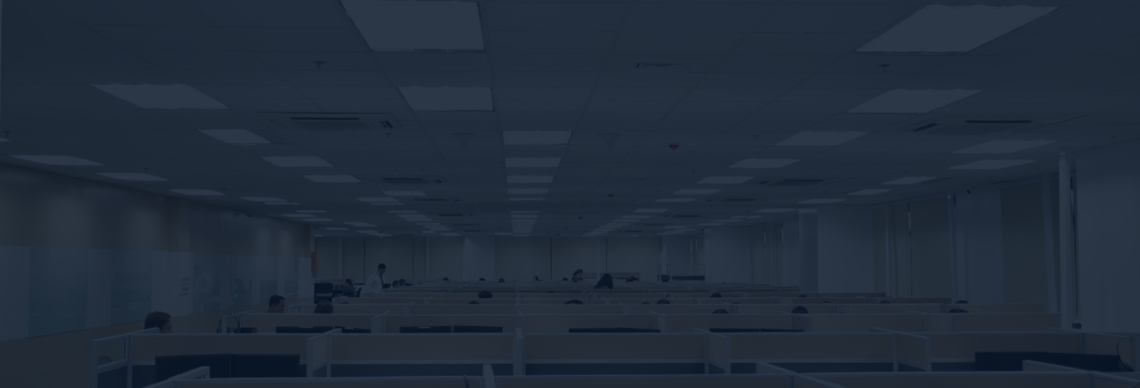 Contact Us | Offshore Business Processing